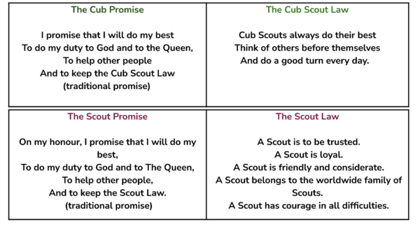 The Scout Promise | 1st Leatherhead