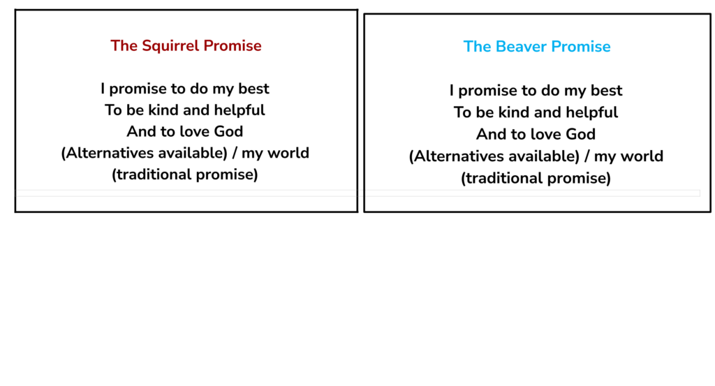The Scout Promise | 1st Leatherhead