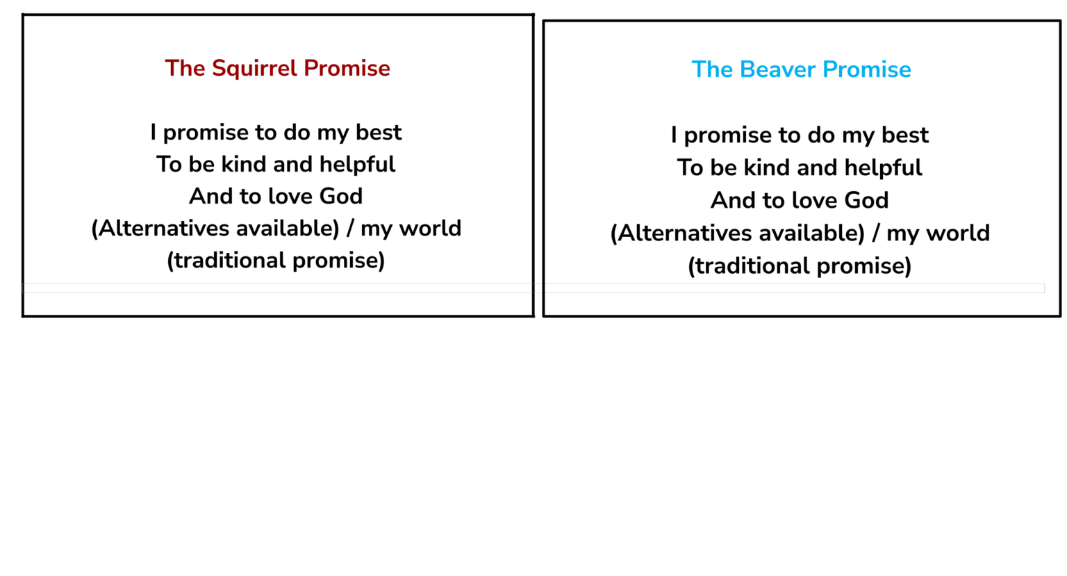 The Scout Promise | 1st Leatherhead