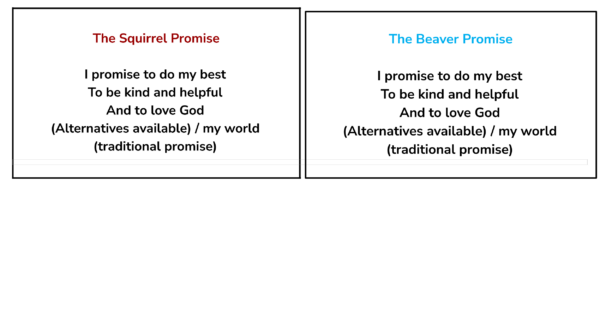 The Scout Promise | 1st Leatherhead